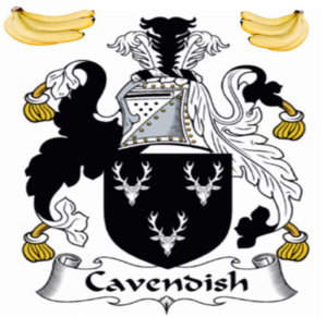 Cavendish History
